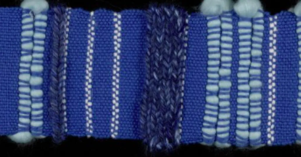 CDH Exit Interview: Gissoo Doroudian – CDH@Princeton